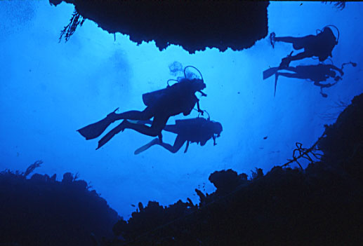 Cane Bay Dive Shop in St. Croix