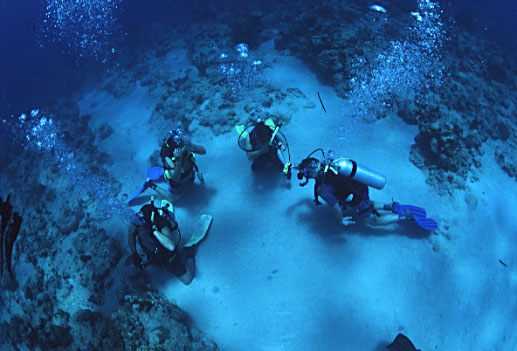 Cane Bay Dive Shop in St. Croix